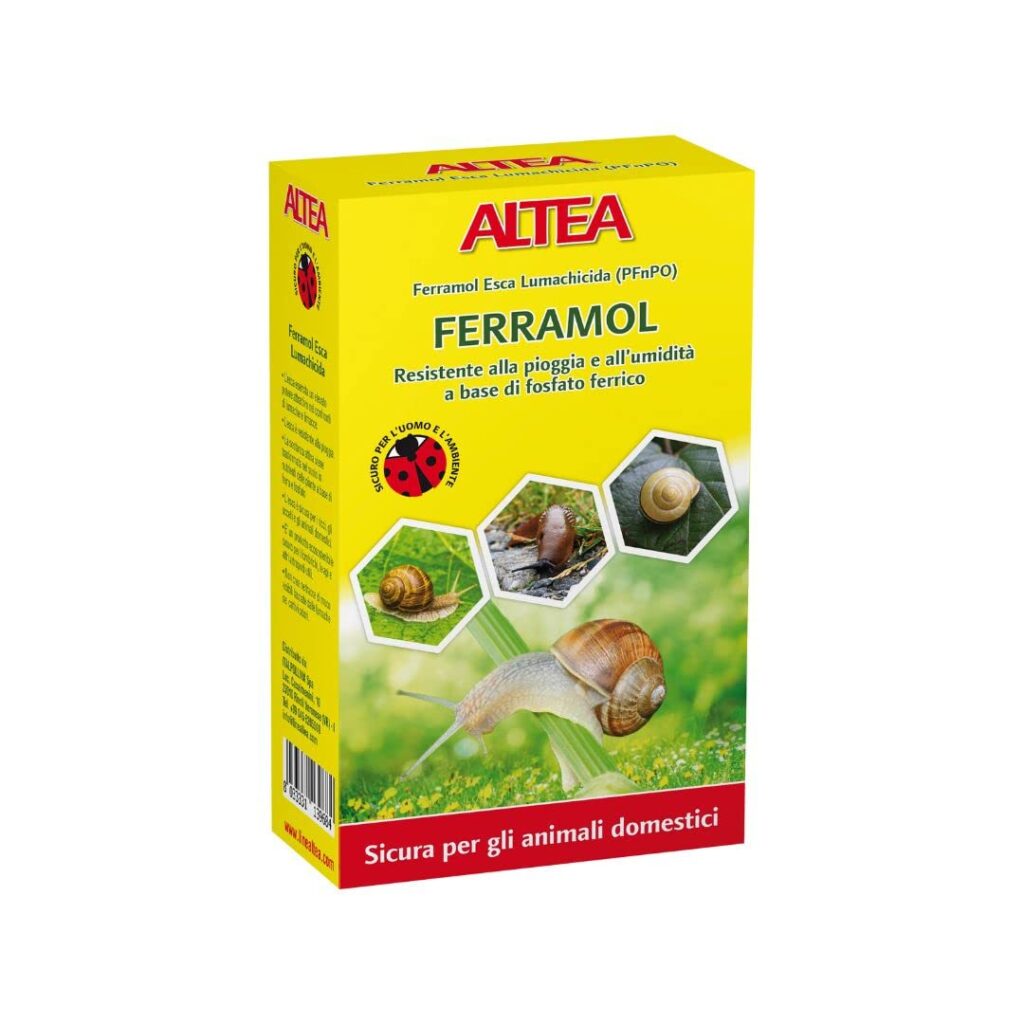 Lumache e limacce nell’orto? 5 metodi per allontanarle! - COLTIVARE L'ORTO