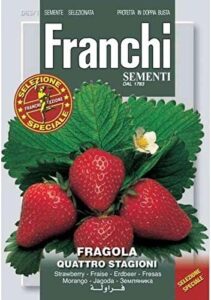 Come coltivare le fragole. 5 consigli per grandi risultati! - COLTIVARE ...