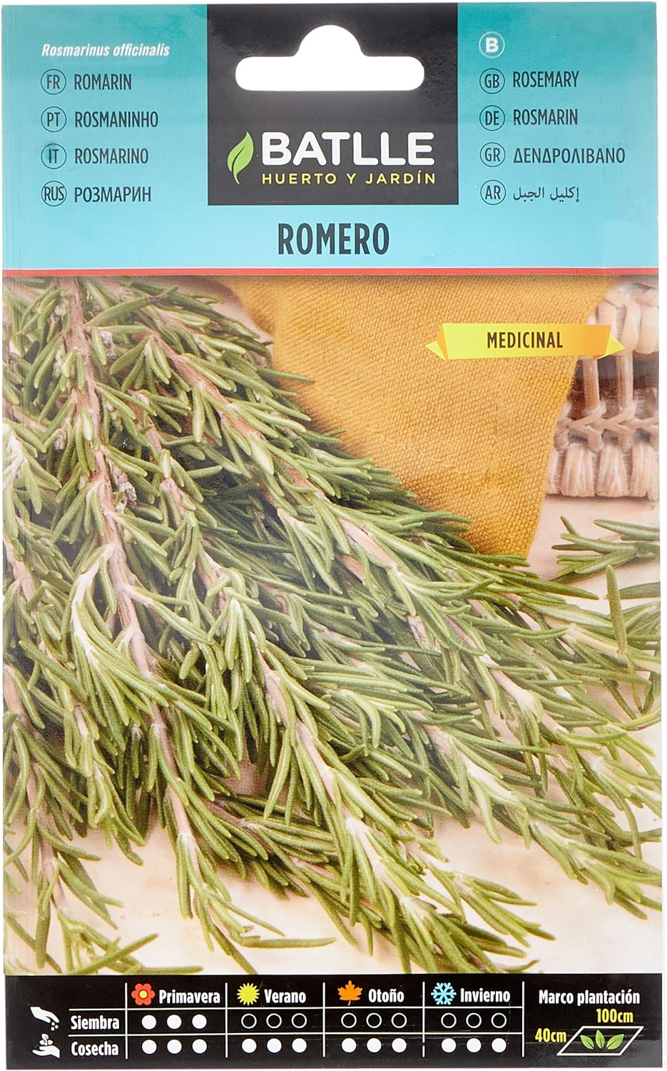 Come coltivare il rosmarino in vaso: 3 consigli! - COLTIVARE L'ORTO